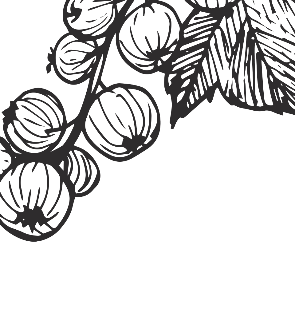 The Gooseberry | Pandora's Box Wine